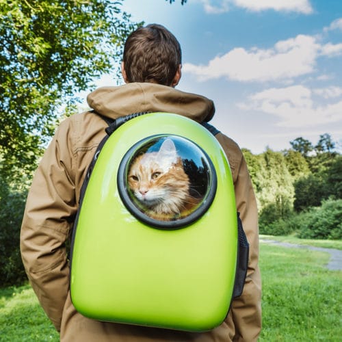 Katzenrucksack: Rucksäcke für Katzen - Flexibel und bequem